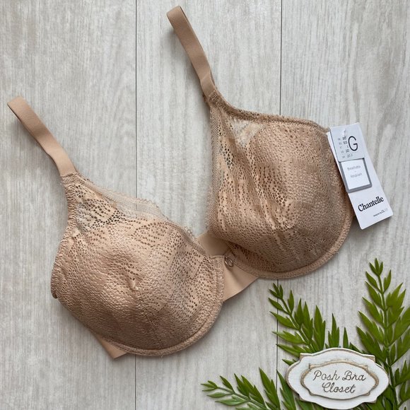 Chantelle | Intimates & Sleepwear | Chantelle 3g Erika Plunge Lace ...